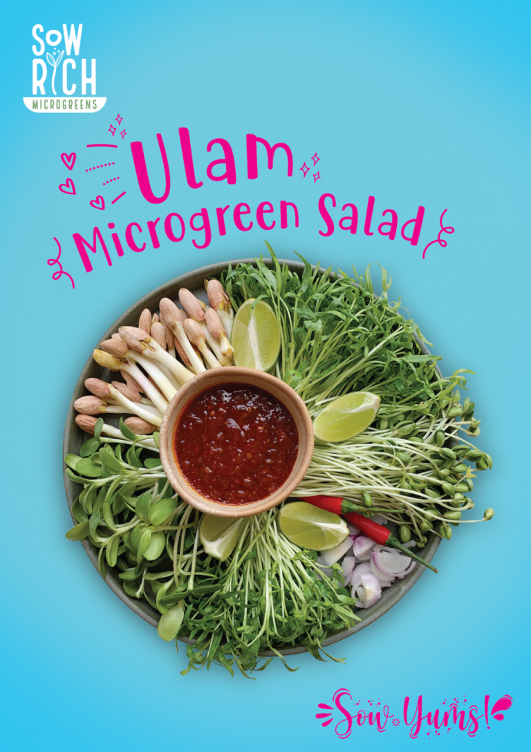 Ulam Microgreen Salad Recipe – Sow Rich